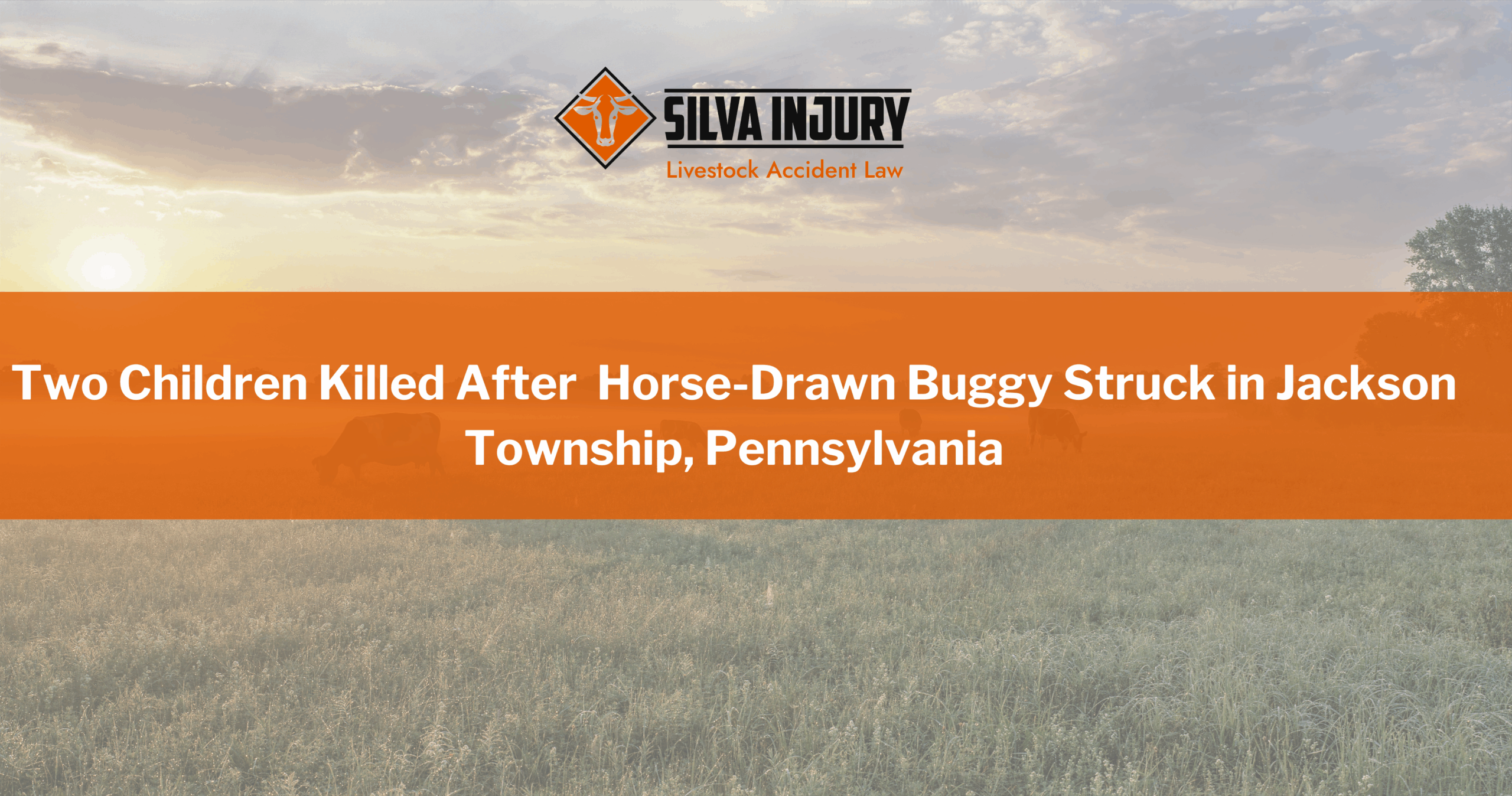 Two Children Killed After Driver Falls Asleep and Strikes Horse-Drawn ...